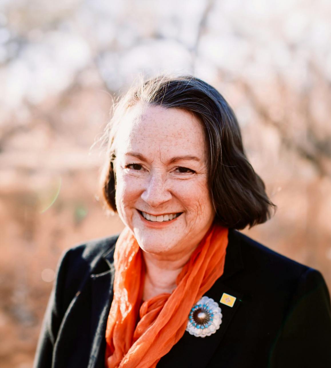 New Mexico Democratic Party